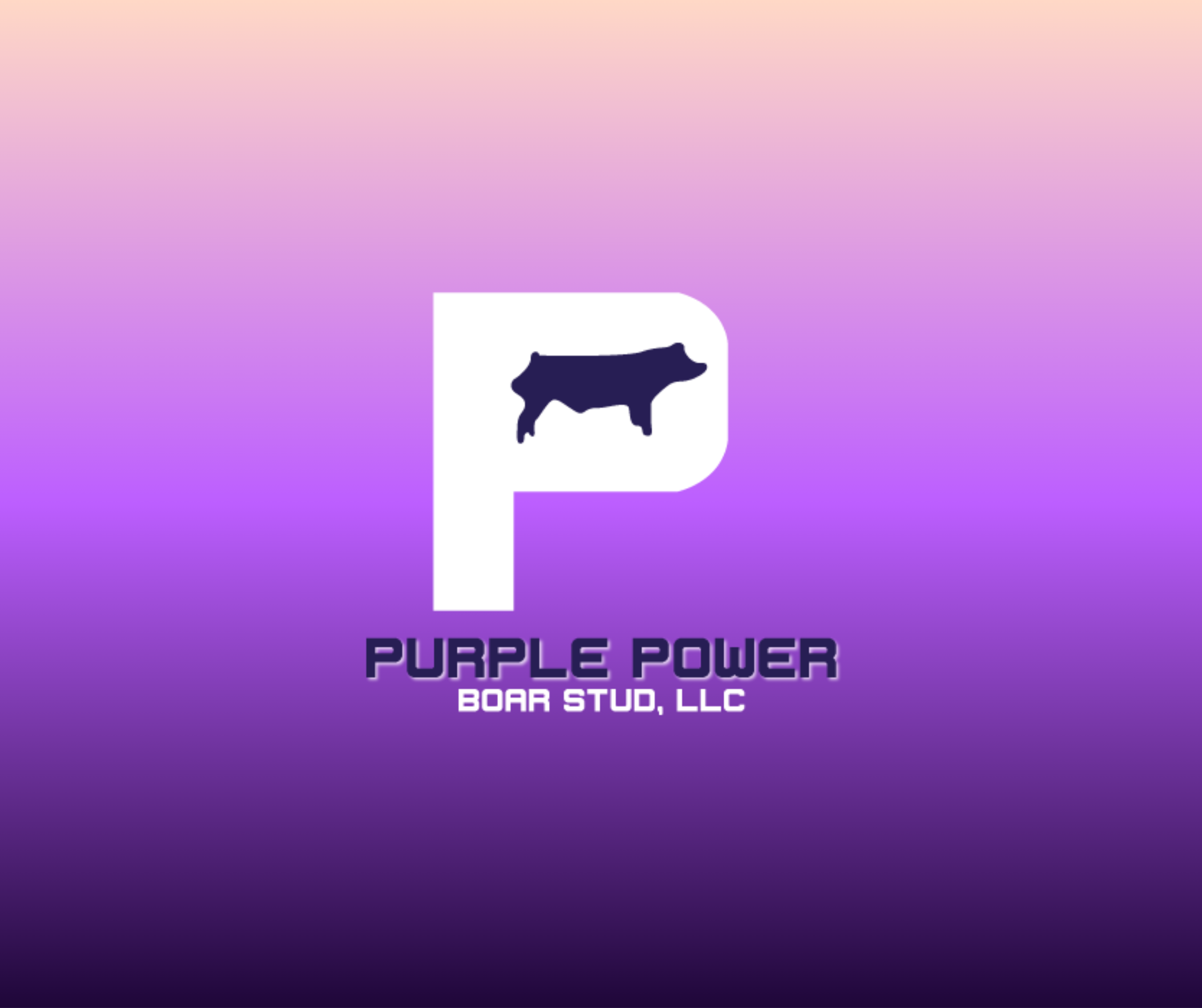 Purple Power Boar Stud Apparel Store – The Glittered Pig