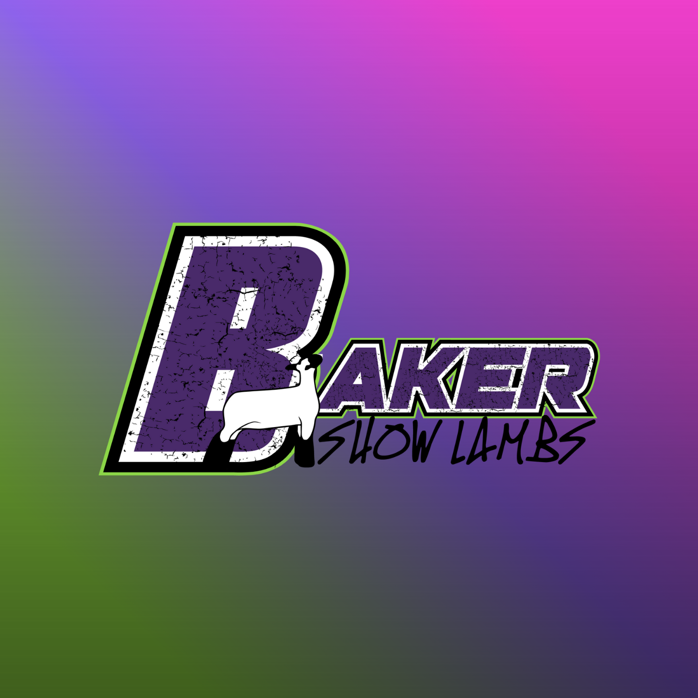 Baker Show Lambs Apparel Store – The Glittered Pig