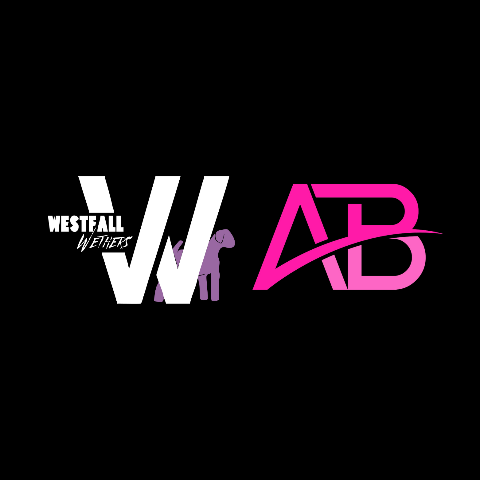 Westfall Wethers & AB Media Apparel Store – The Glittered Pig